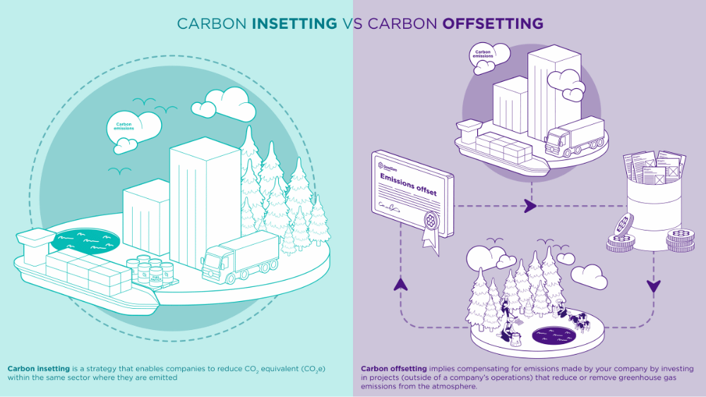 What is carbon insetting?